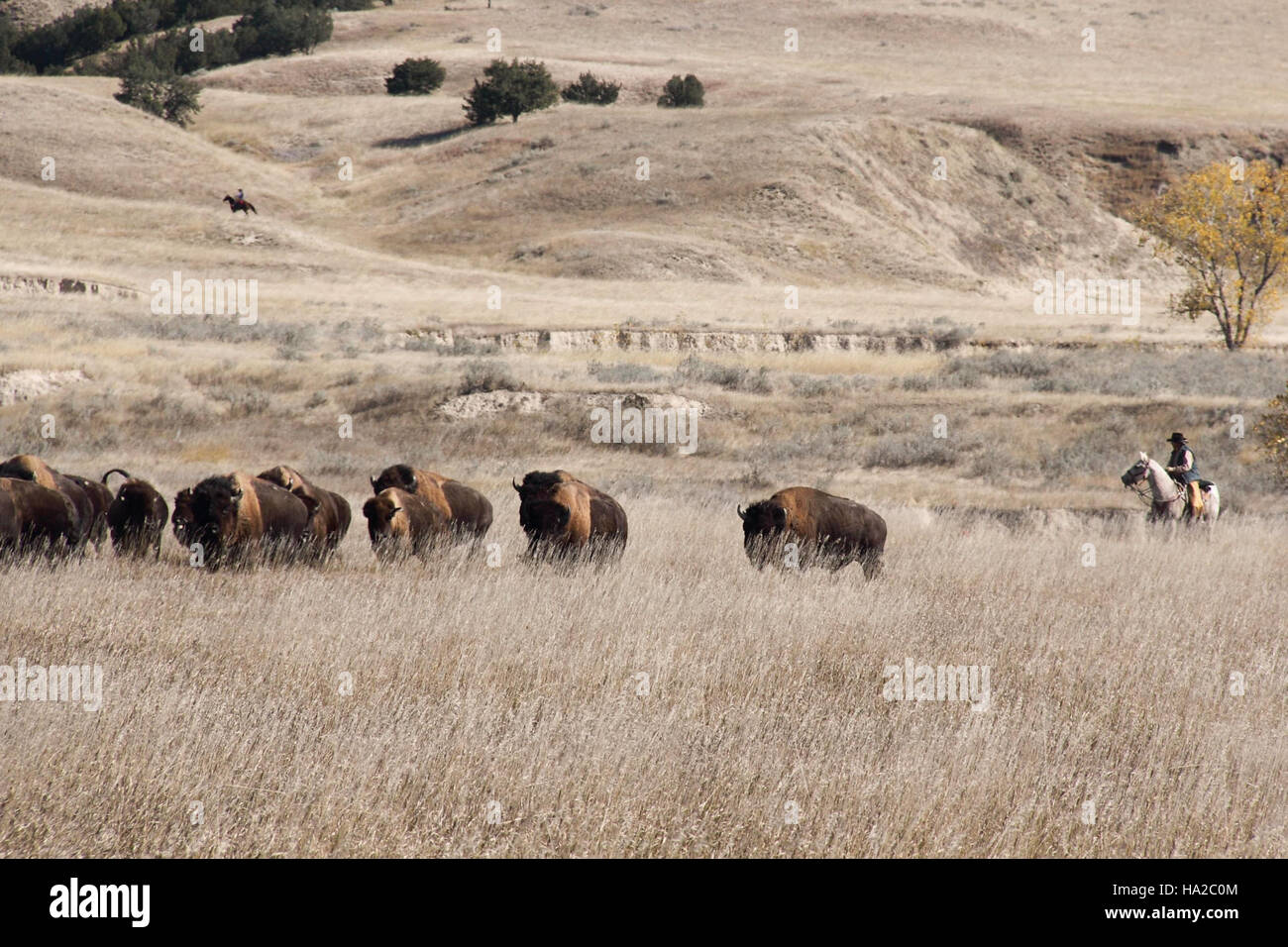This image showcases the rugged beauty of Badlands National Park ...