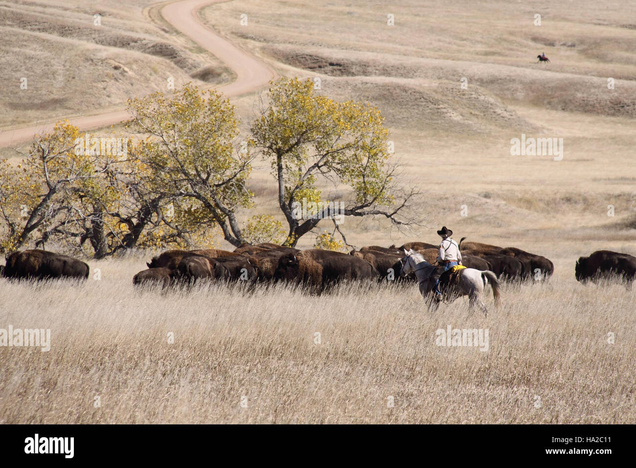 This image depicts the dramatic landscape of Badlands National Park in ...