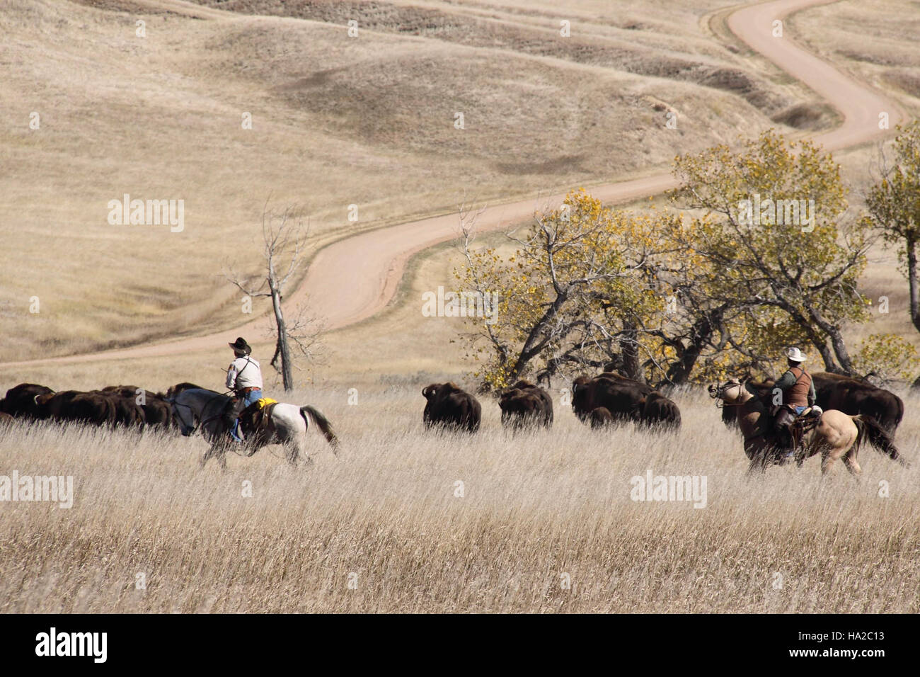The Badlands National Park in South Dakota is renowned for its dramatic ...
