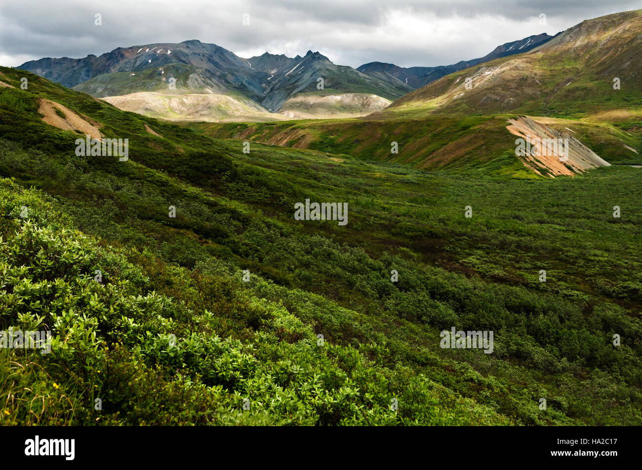 Denali National Parkâ€™s Thorofare, a scenic area located in Alaska ...