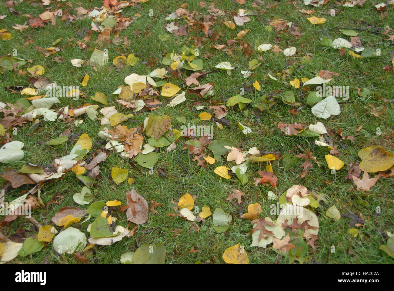 This photograph captures the tranquil beauty of Valley Forge National ...