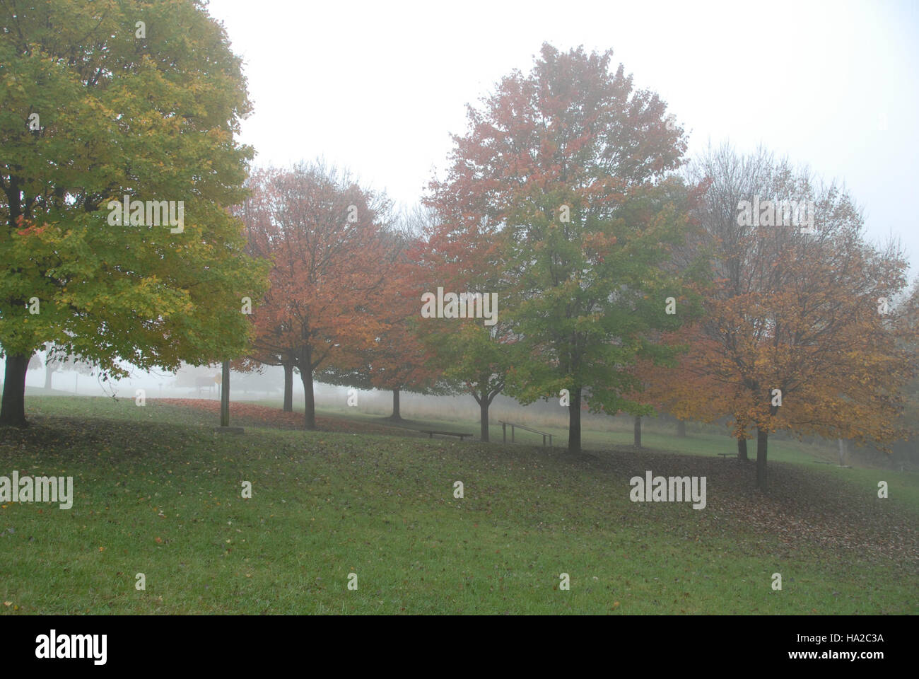 A foggy autumn morning at Valley Forge National Park captures the ...