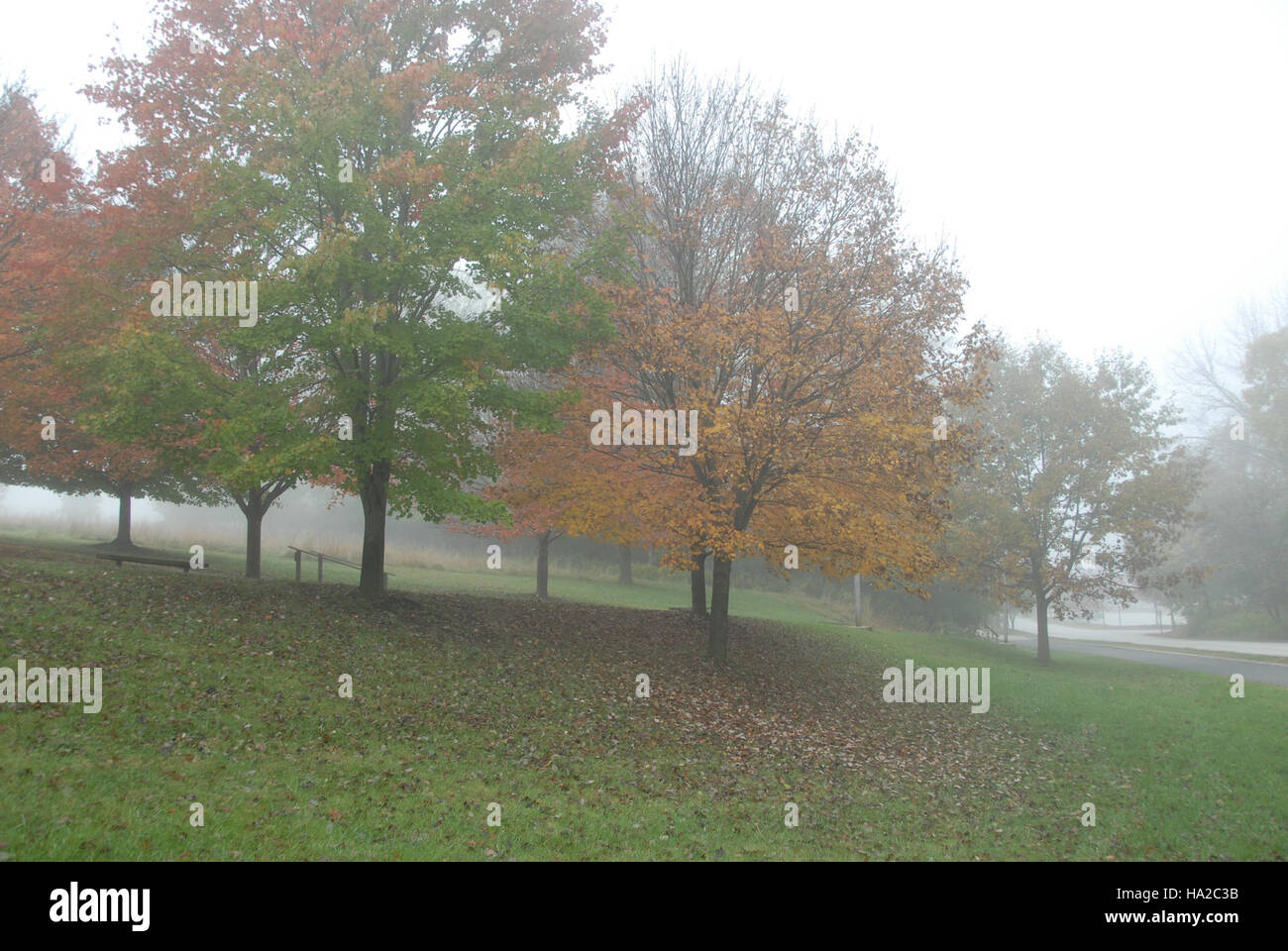 This photograph captures the ethereal beauty of fall fog in Valley ...