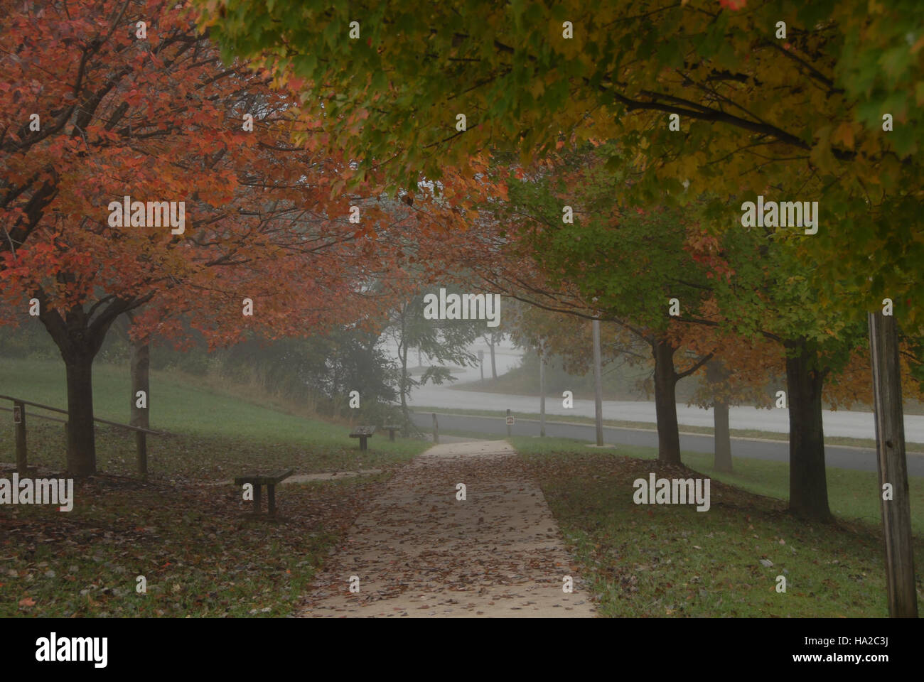A serene autumn scene at Valley Forge National Park, featuring early ...