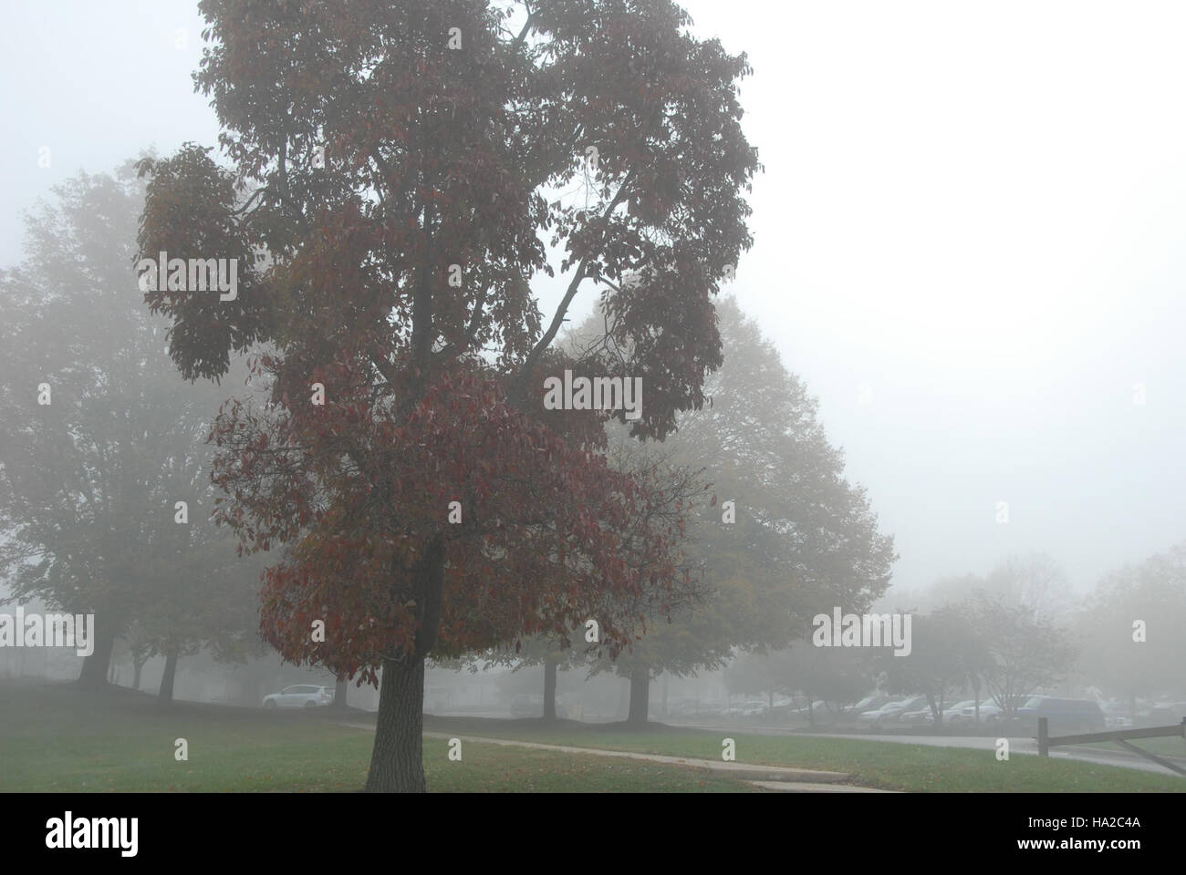 A photograph capturing the fall fog in Valley Forge National Park ...