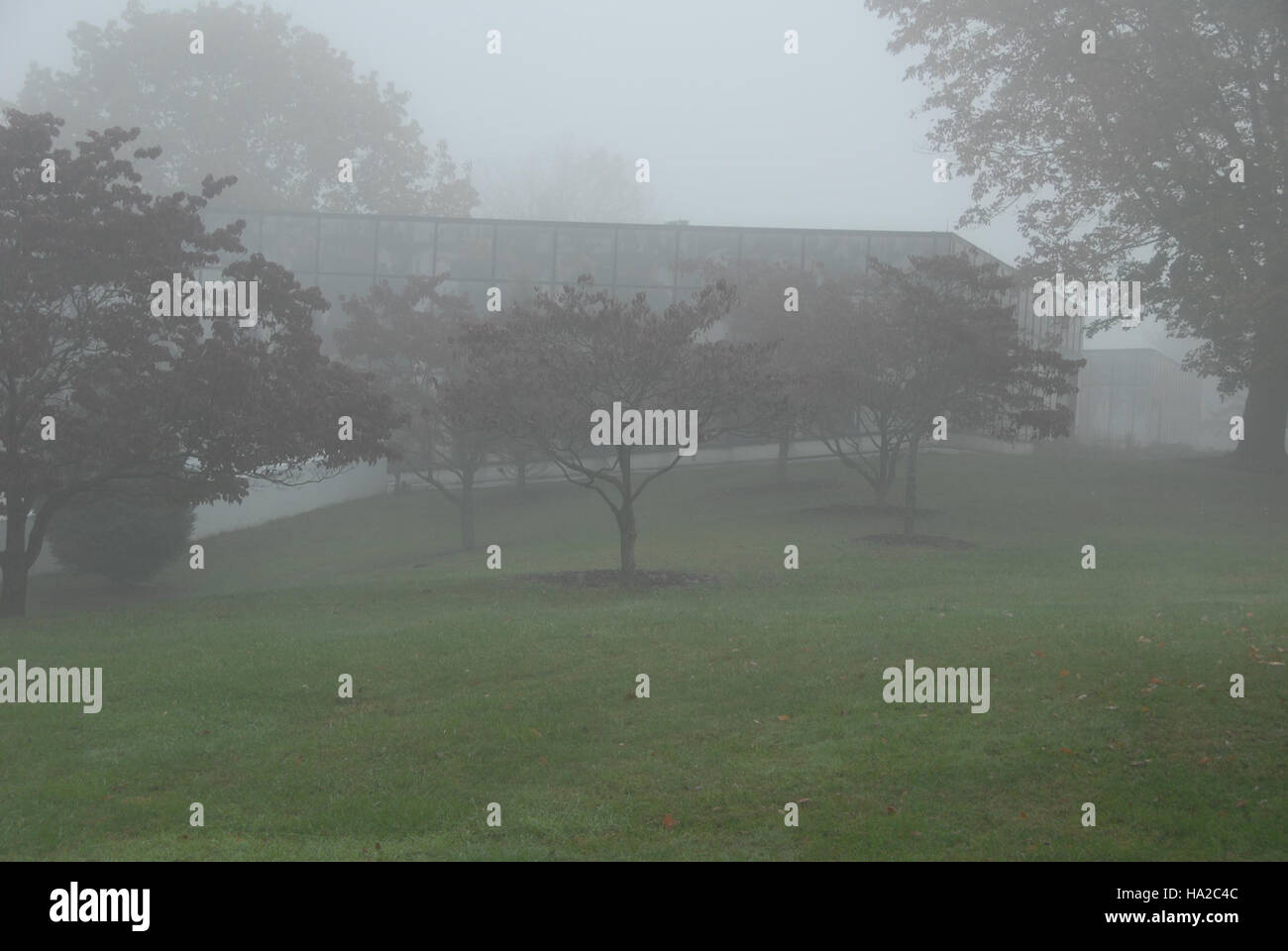 This image captures the serene landscape of Valley Forge National Park ...