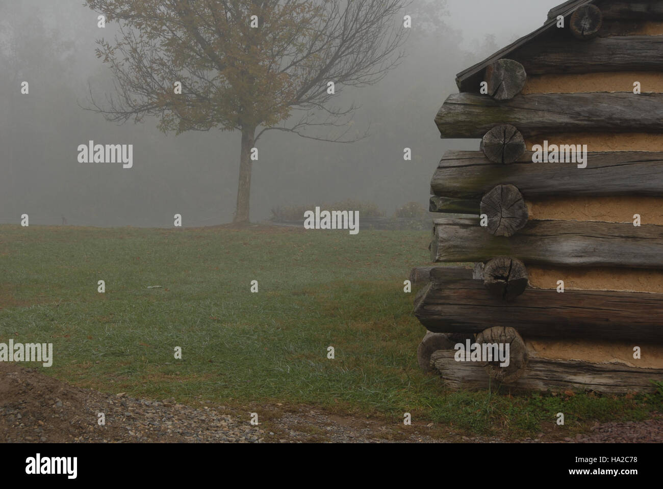 Fall fog creates a serene atmosphere in Valley Forge National Park ...