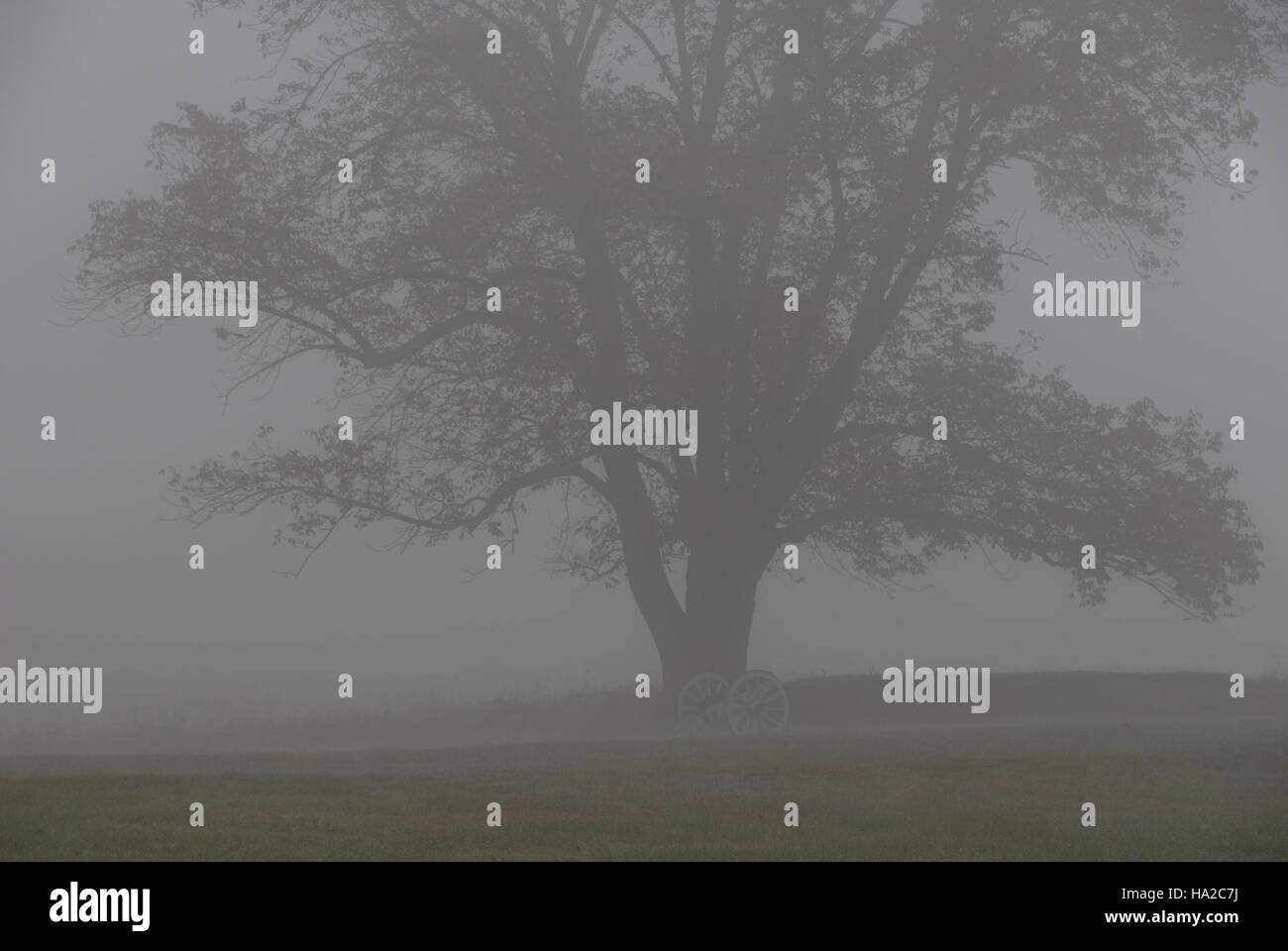 Fall fog envelops the iconic landscapes of Valley Forge National Park ...