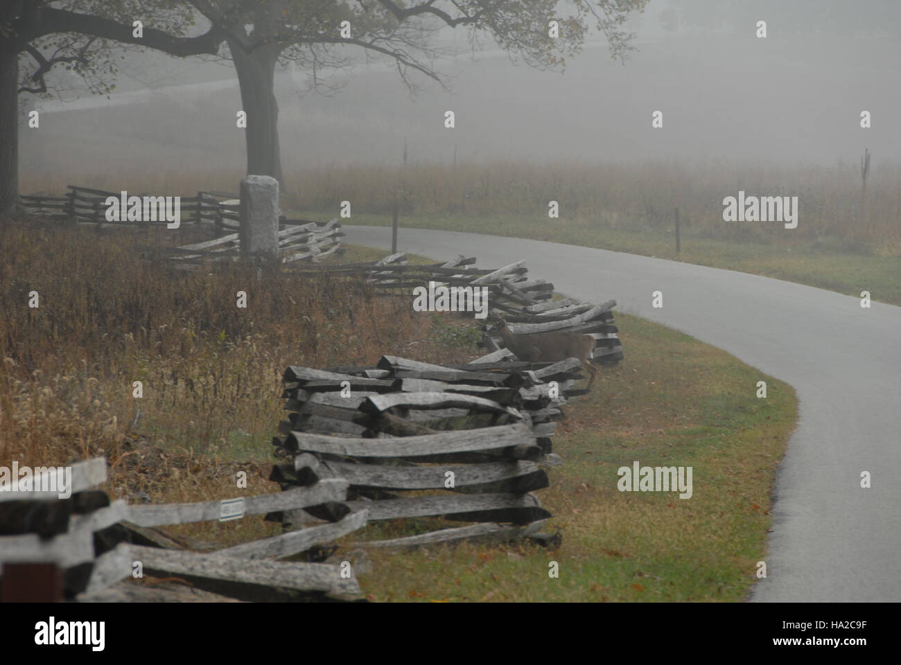 A misty fall morning at Valley Forge National Park, showcasing the ...