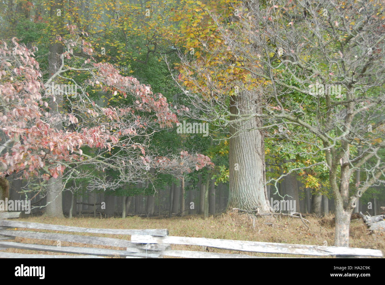 Valley Forge National Park, known for its historical significance, is ...