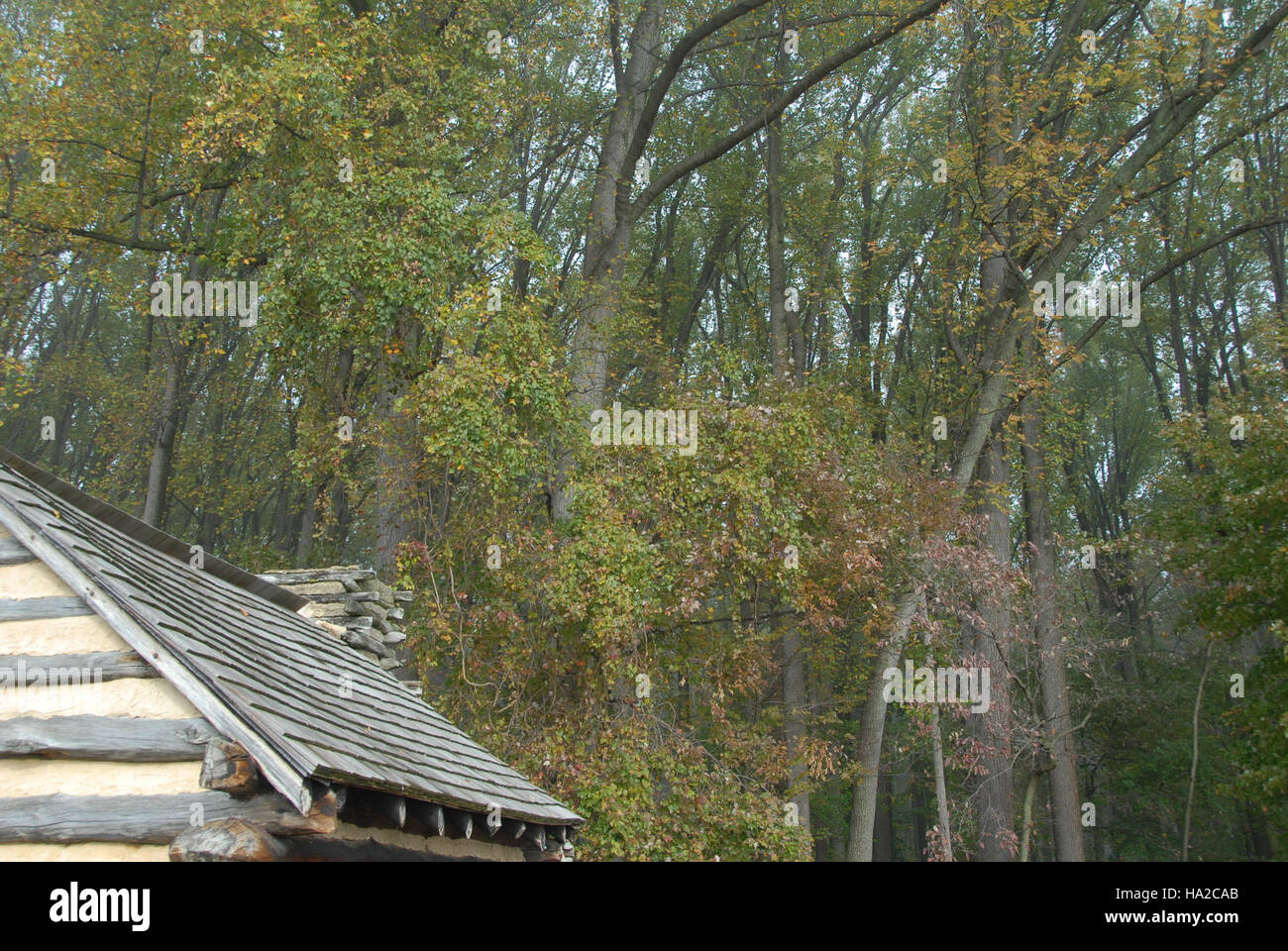 Valley Forge National Park showcases stunning fall fog over its ...