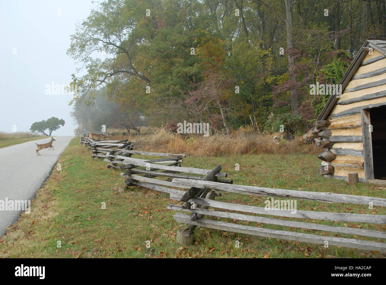 Fog settles over the historic Valley Forge National Park during the ...