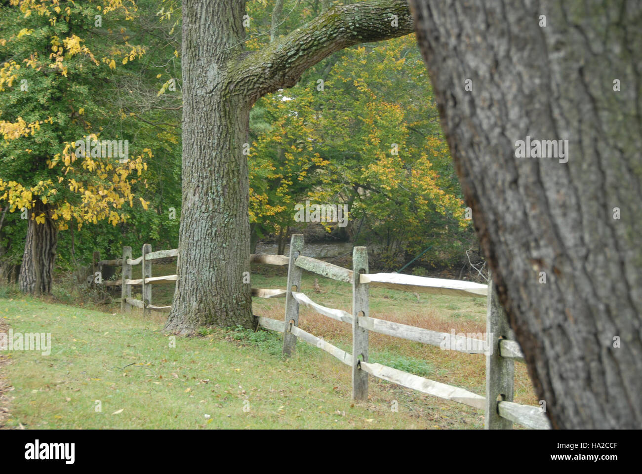 This image captures the serene beauty of fall fog in Valley Forge ...