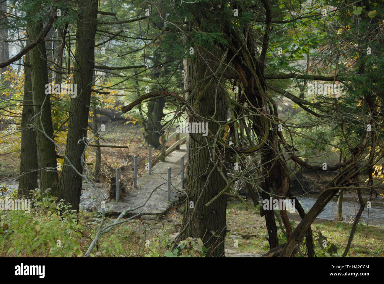 A serene view of Valley Forge National Historical Park during fall ...