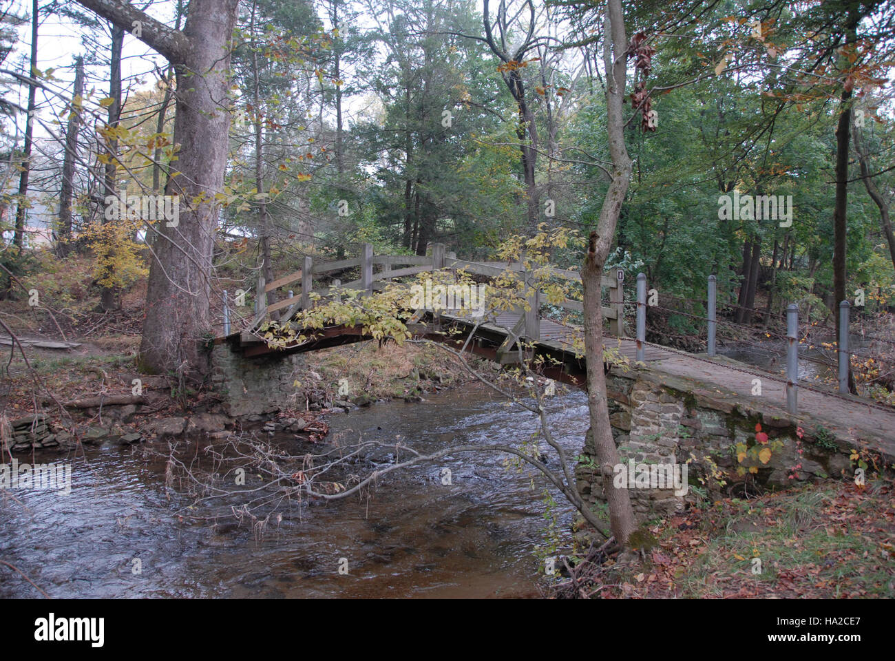Fog envelops Valley Forge National Historical Park in autumn, adding to ...