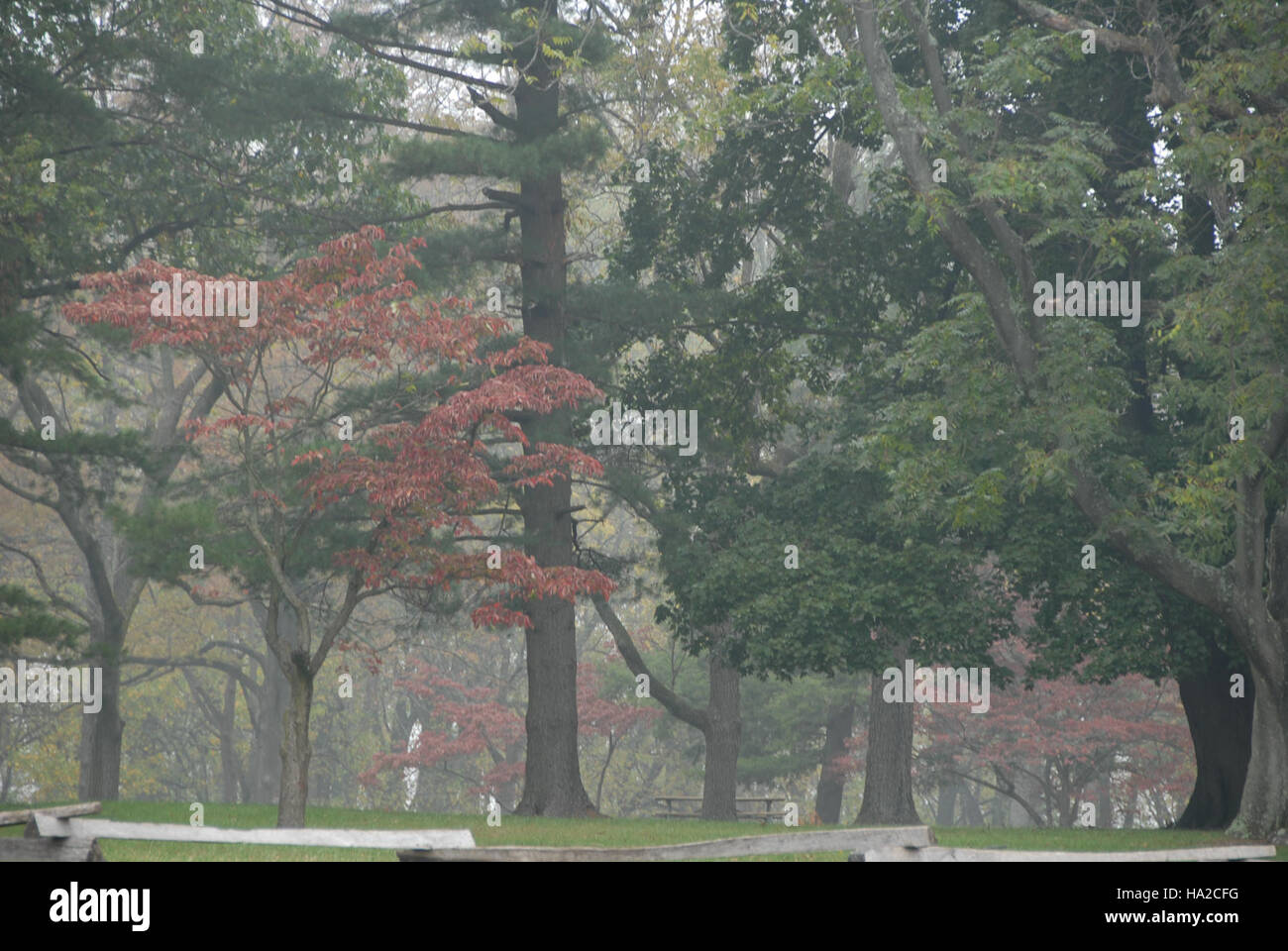 The misty morning fog envelops Valley Forge National Park, creating a ...