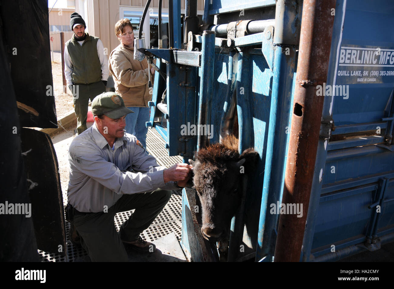 Effective wildlife management hi-res stock photography and images - Alamy