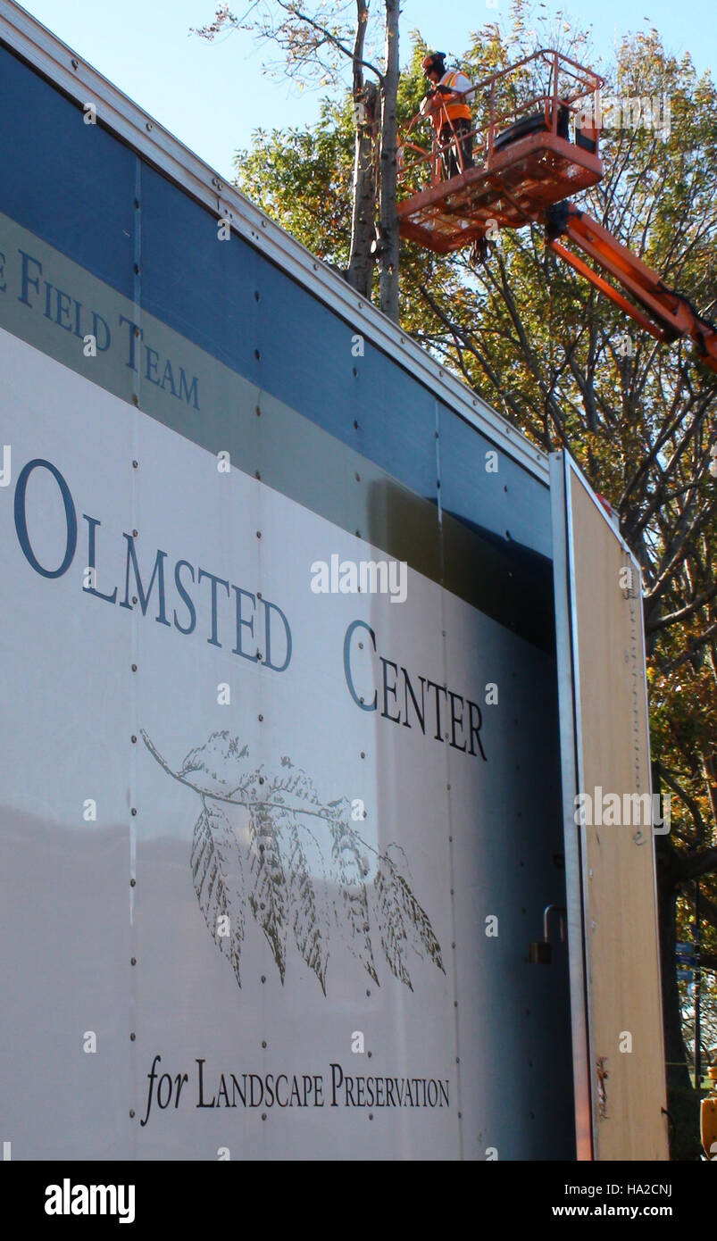The Olmsted Center on Governors Island National Park plays a pivotal ...