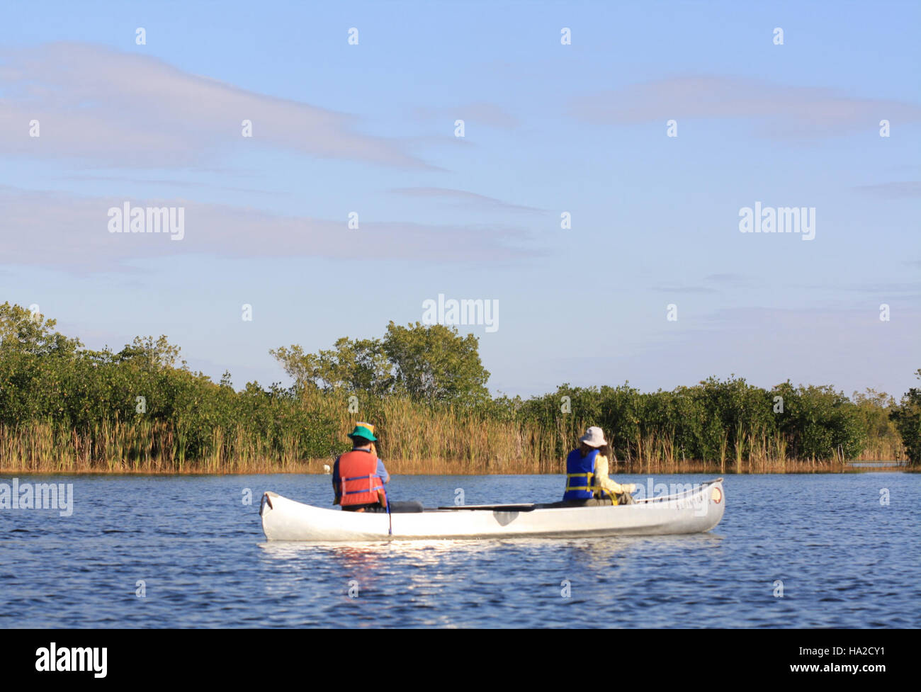 Nine Mile Pond in Everglades National Park is a protected freshwater ...