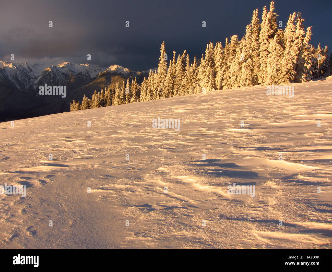 olympicnps 17302370341 Sunrise Hurricane Ridge winter scenic 2010 NPS ...