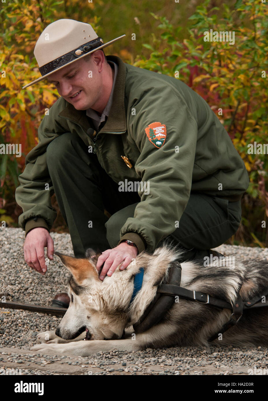 Ranger dog hi-res stock photography and images - Alamy