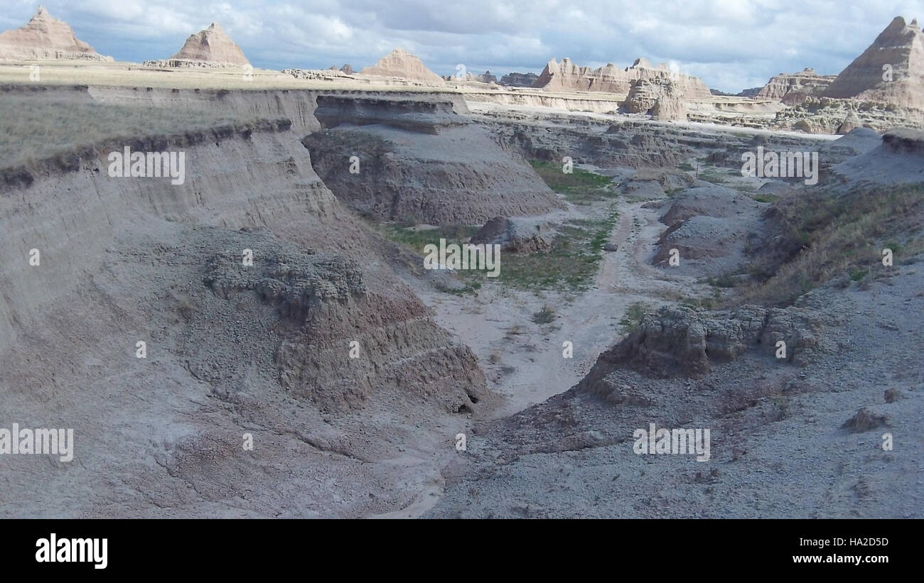 A photo from Camera 8 in Badlands National Park, showing two ...