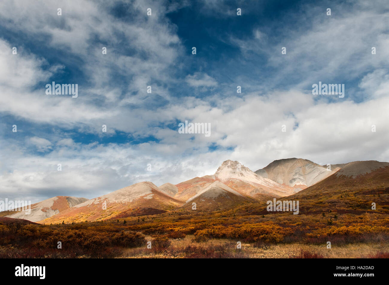 The Toklat River region in Denali National Park is a key natural ...