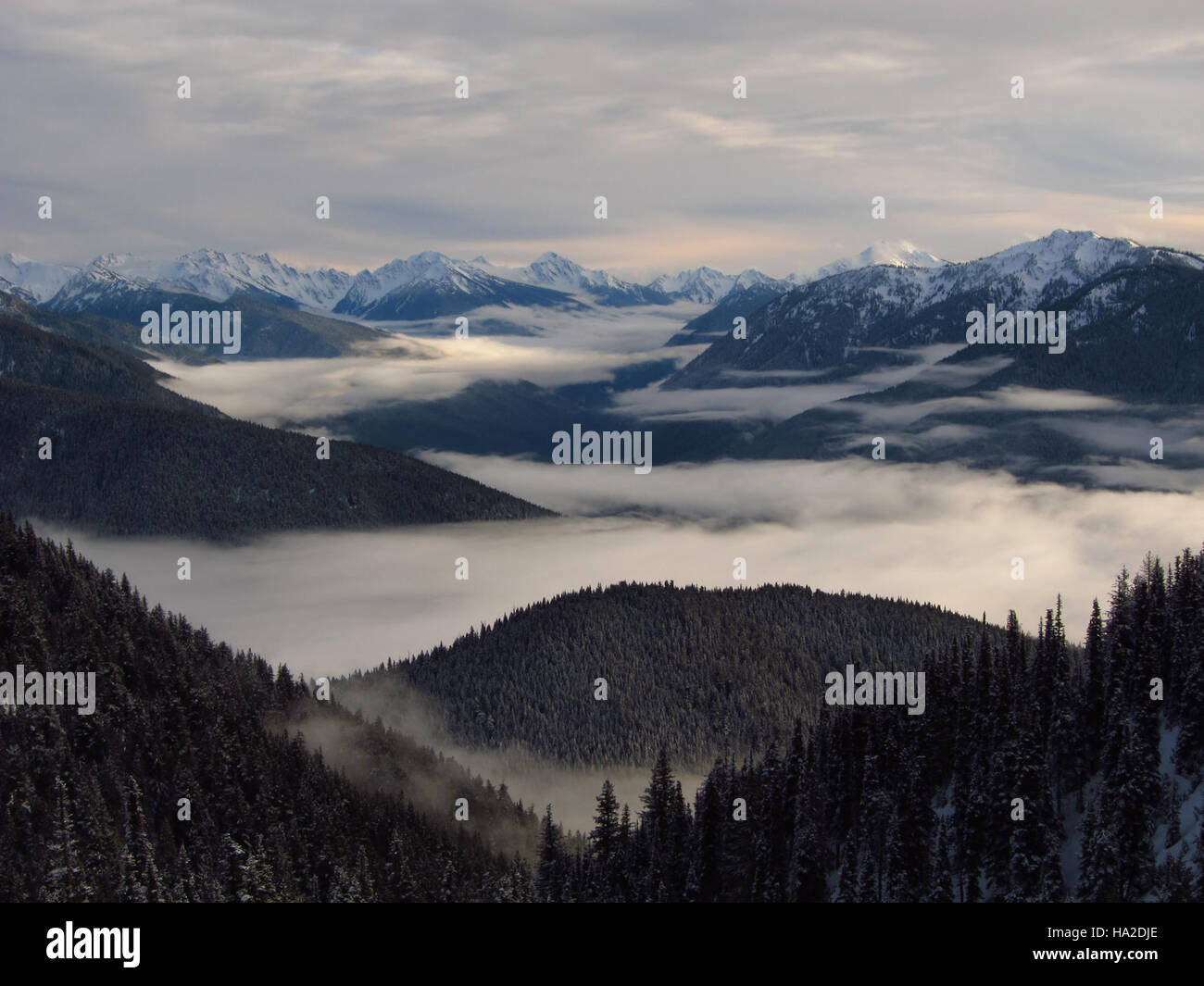 Hurricane Ridge in Olympic National Park offers stunning views of the ...