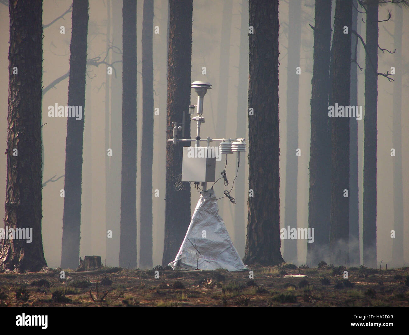 This image showcases an Environmental Beta Attenuation Monitor used in ...
