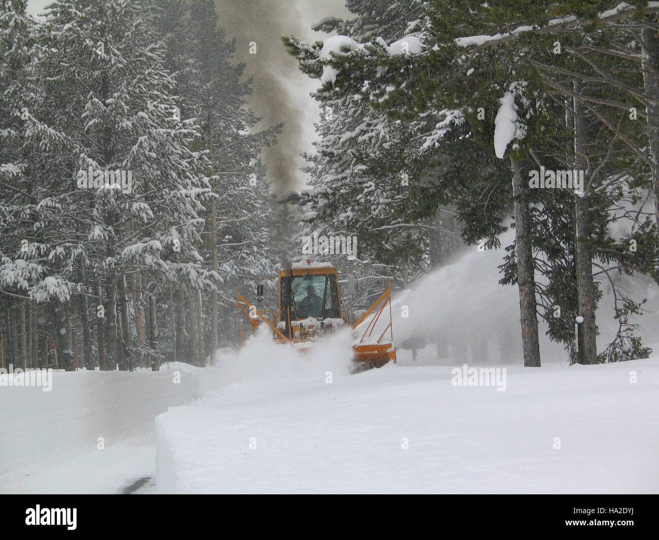 Visitors travel behind Fishing Bridge in Yellowstone National Park to ...