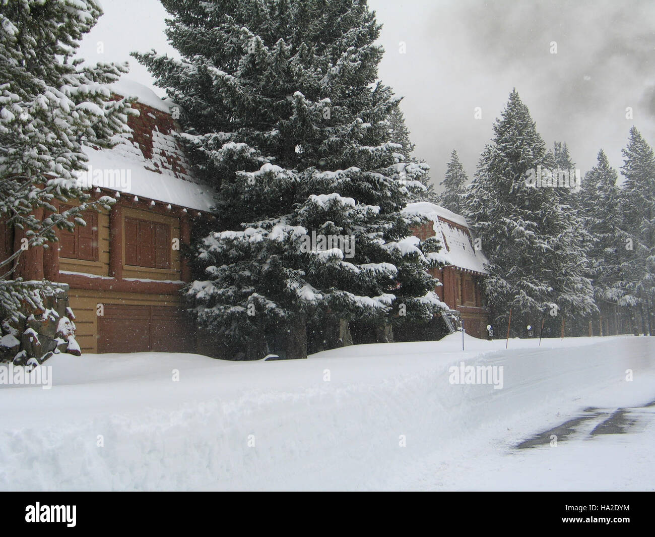 The Yellowstone General Store at Fishing Bridge provides essential ...