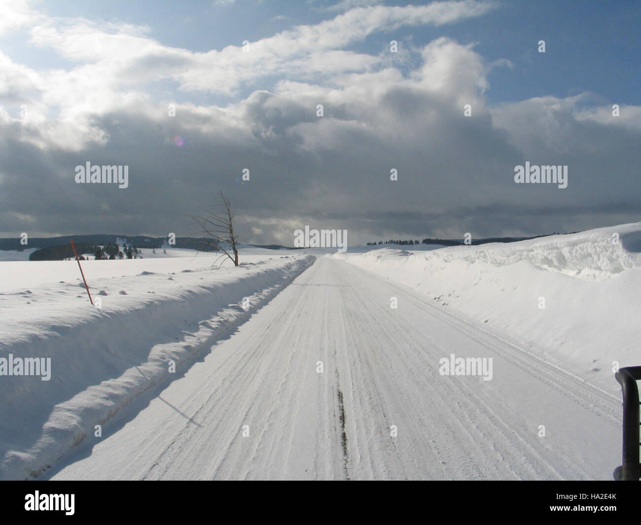 Hayden Valley in Yellowstone National Park is a prominent area known ...