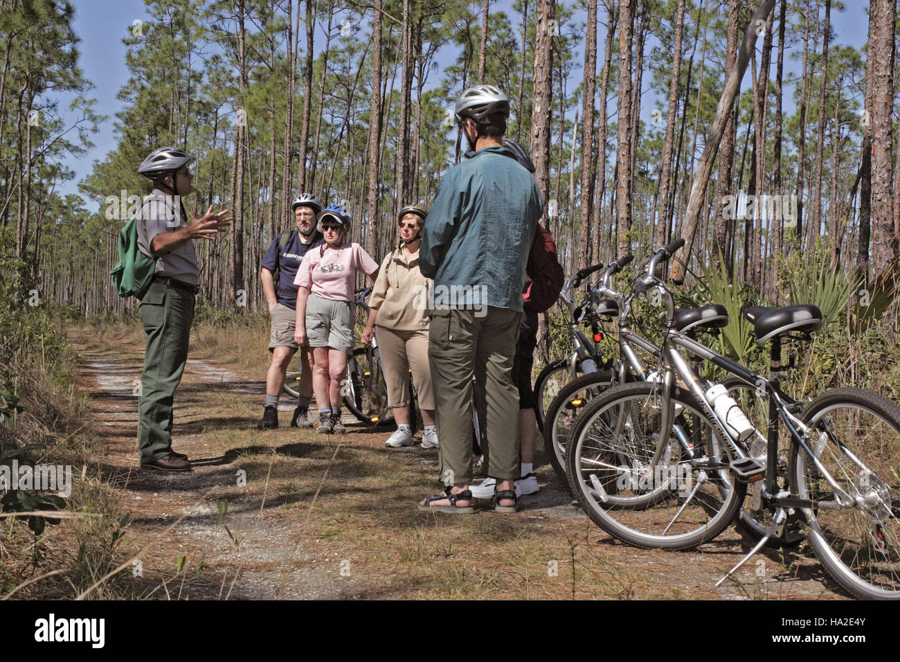 The Long Pine Key Nature Trail in Everglades National Park offers ...