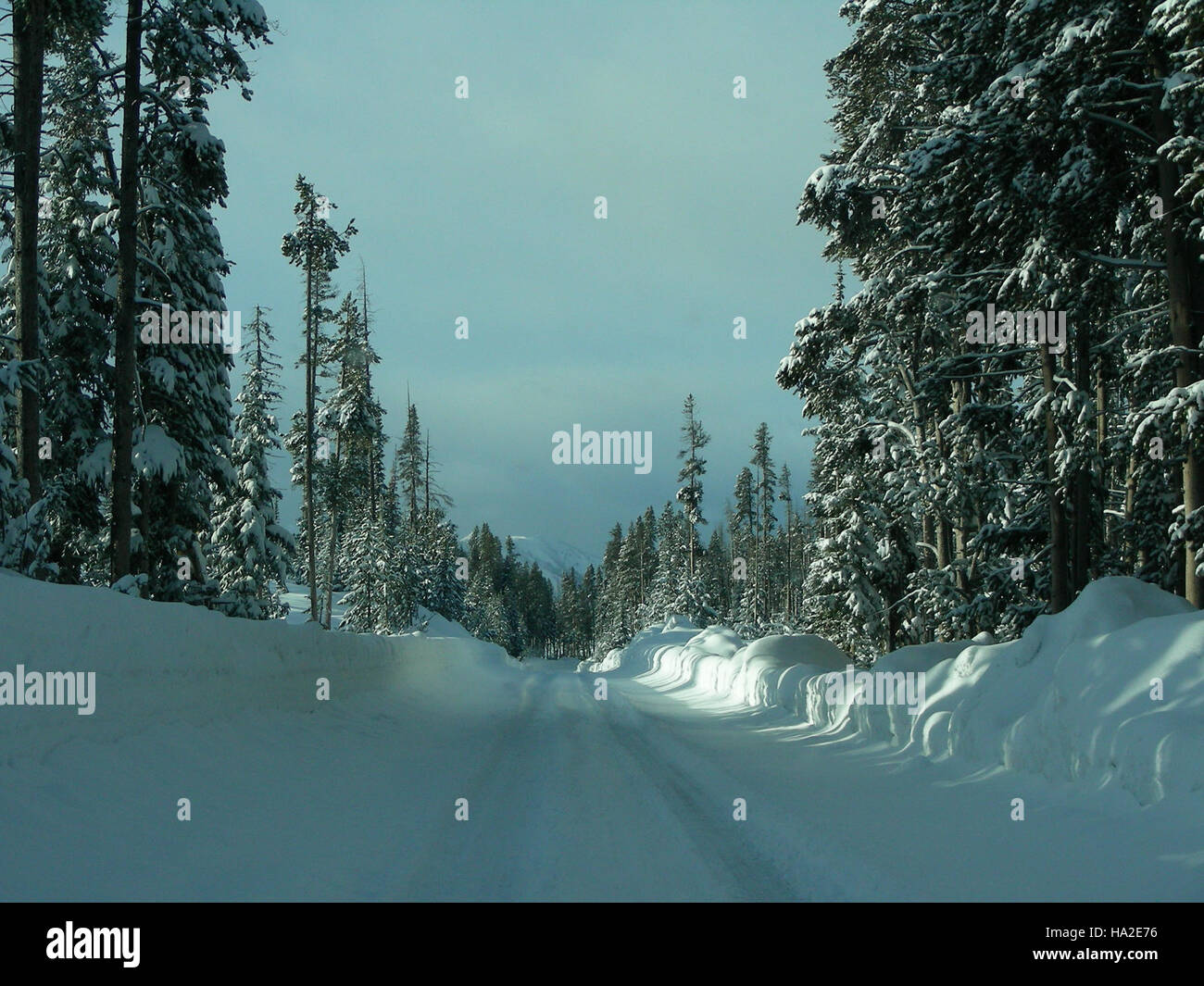 Grant Village, located in Yellowstone National Park, serves as an entry ...