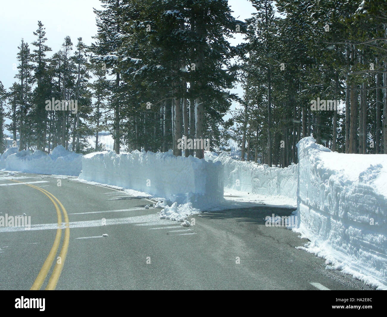 Lewis Lake, located in Yellowstone National Park, offers visitors a ...