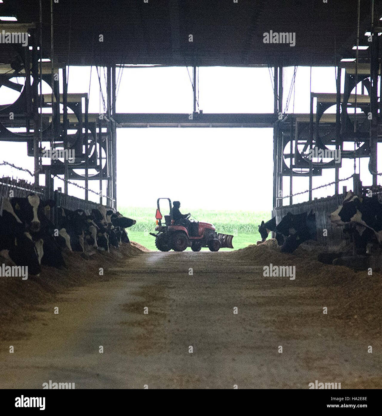 A biodigester system on farms helps to convert organic waste from ...