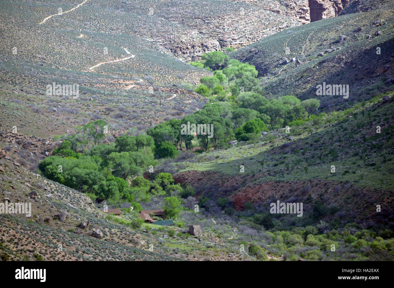 Indian Garden is a popular destination within Grand Canyon National ...