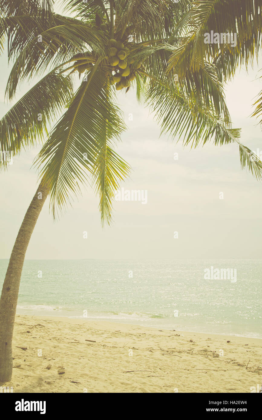 retro vintage style photo of palm trees on the beach Stock Photo - Alamy