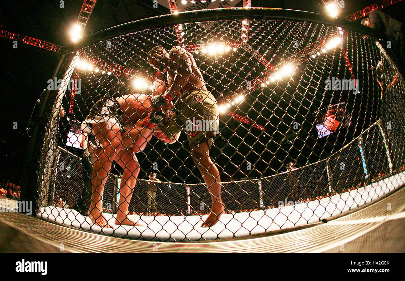 Tito ortiz blonde hair evans hi-res stock photography and images - Alamy