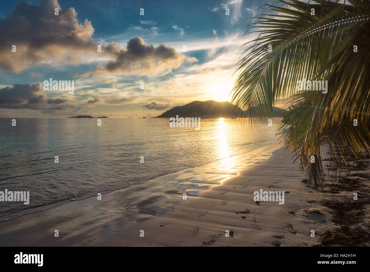 Beautiful sunset at Seychelles beach with palm tree Stock Photo - Alamy