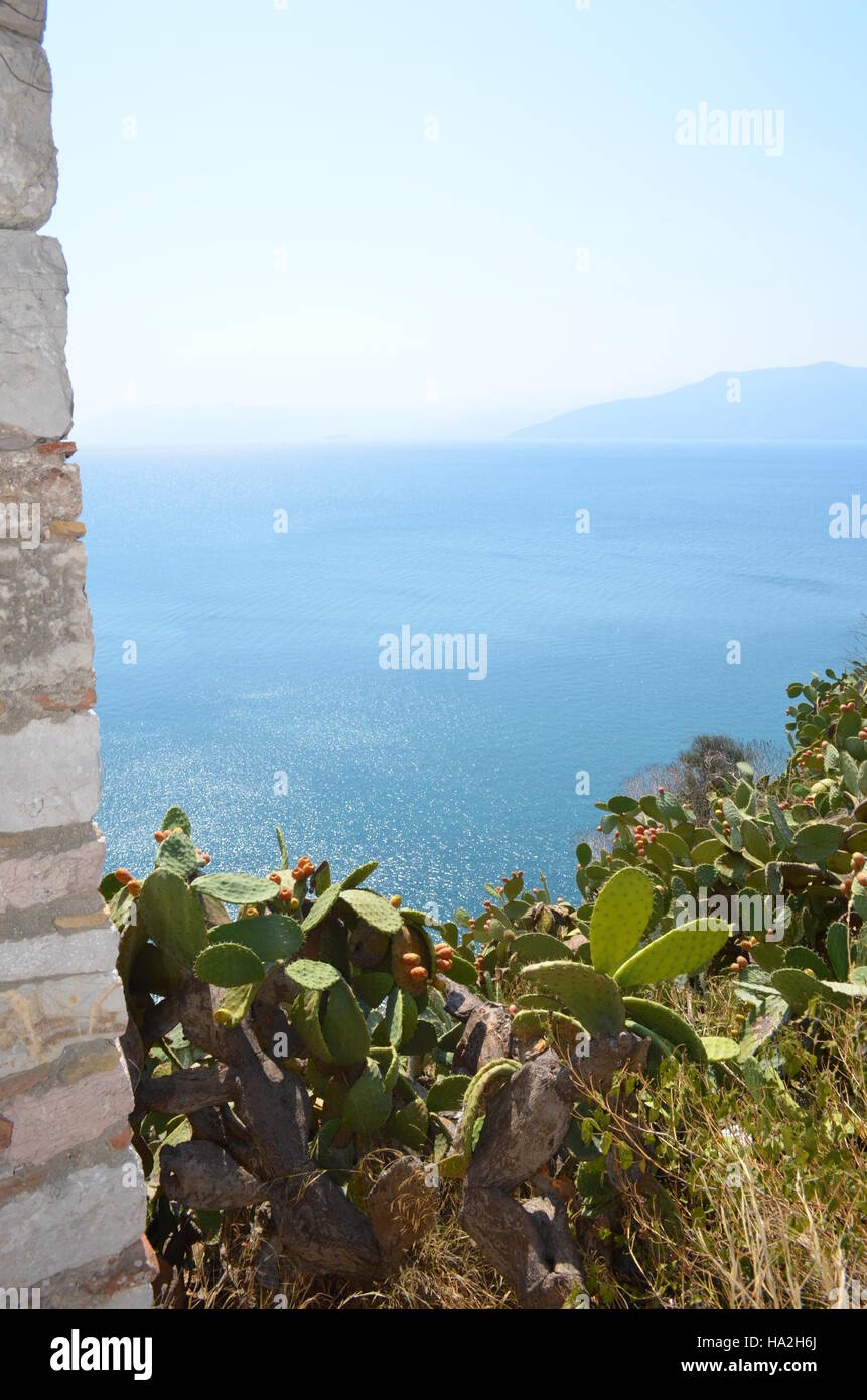 Nature photography out in the open space Stock Photo - Alamy