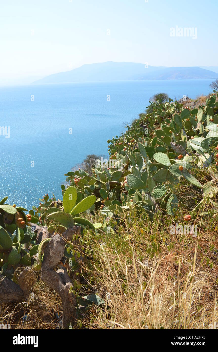 Nature photography out in the open space Stock Photo - Alamy