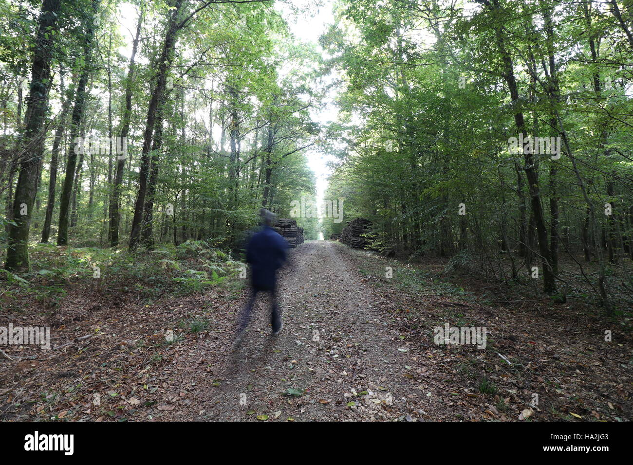 Man running through forest Stock Photo - Alamy