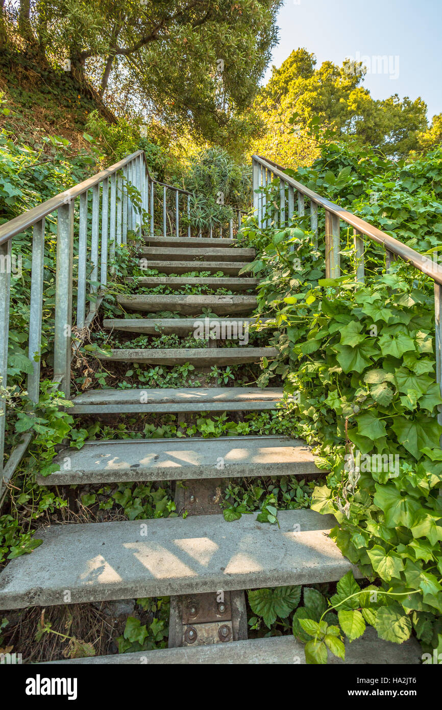 Filbert street san francisco hi-res stock photography and images - Alamy