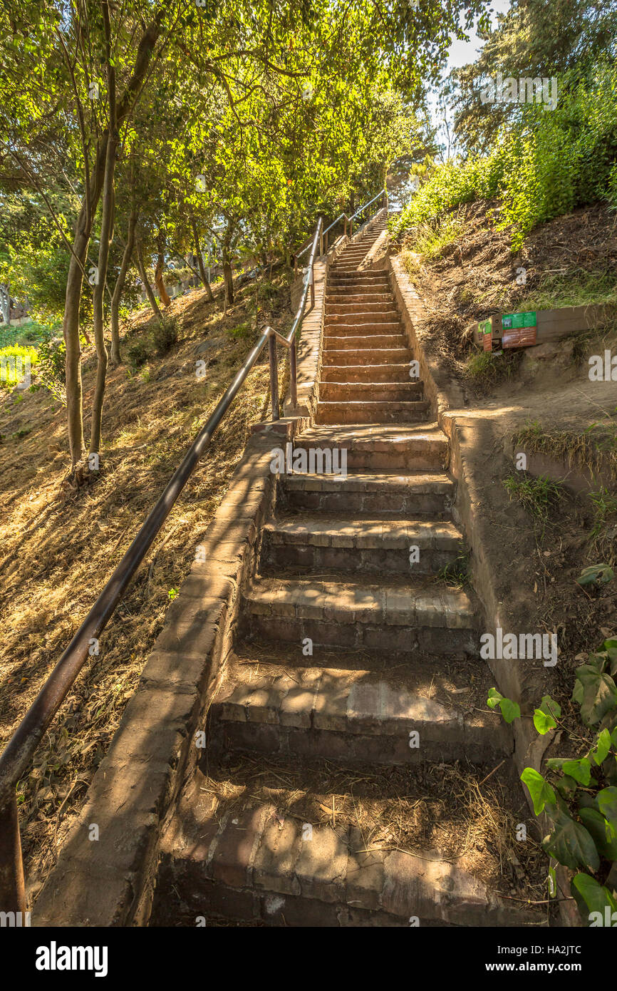 Telegraph Hill Steps