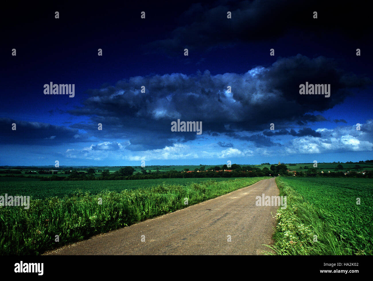 english country road Stock Photo - Alamy