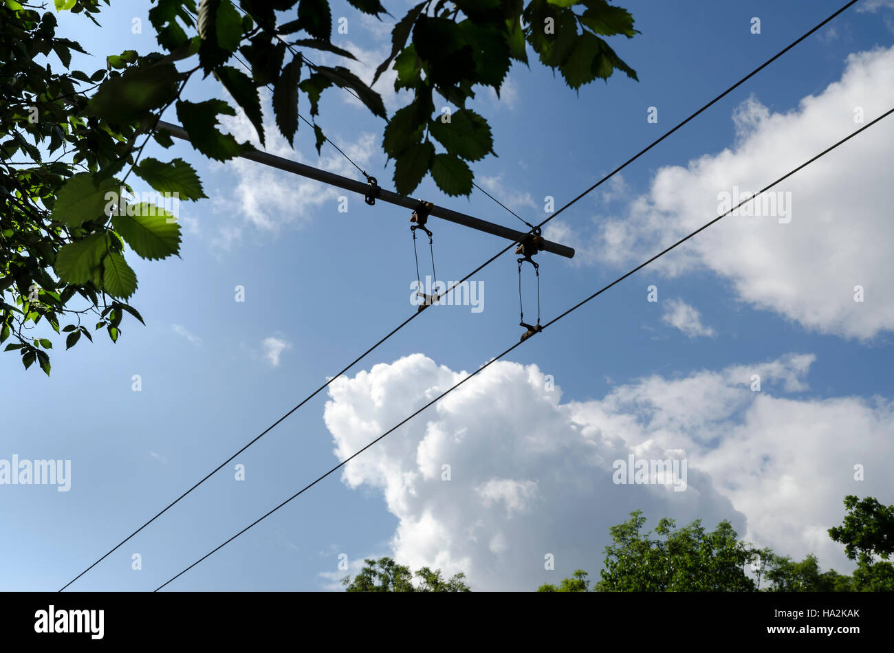 Electric wire of trolley bus Stock Photo - Alamy