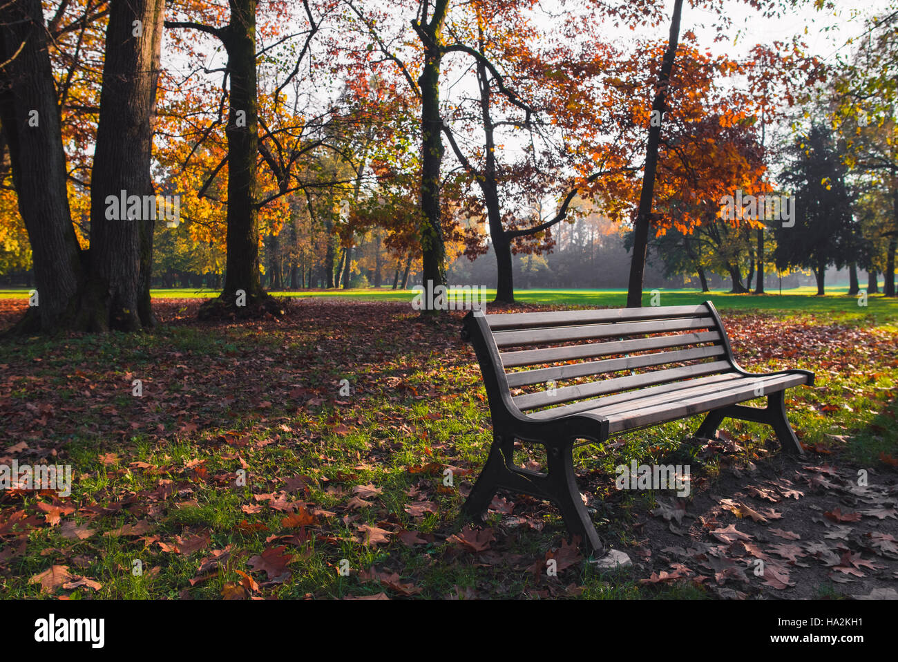 Park artistic design hi-res stock photography and images - Alamy
