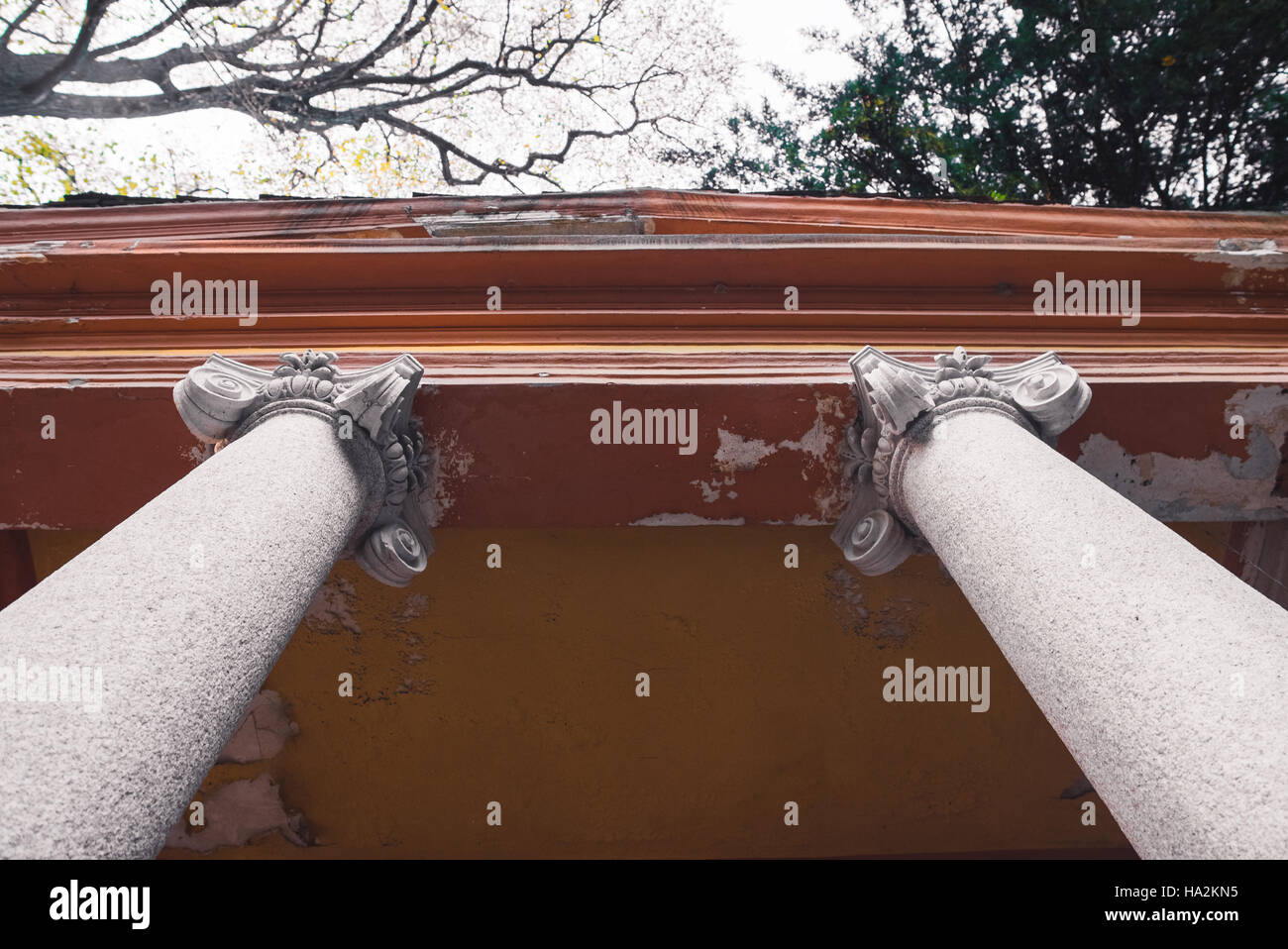 Columns of a classical old temple and vegetation Stock Photo - Alamy