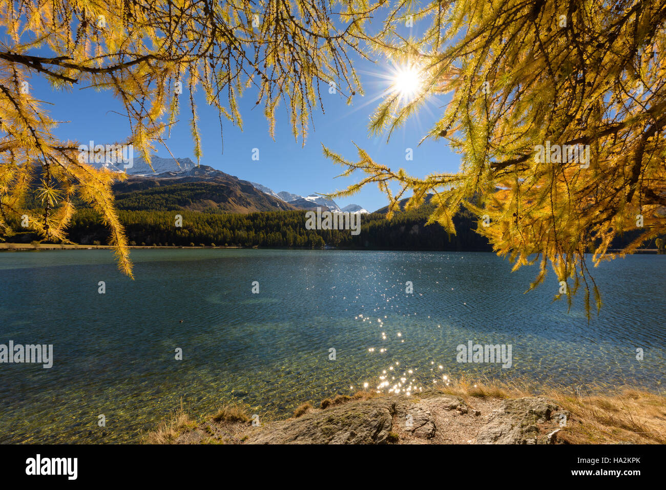 Grisons hi-res stock photography and images - Alamy